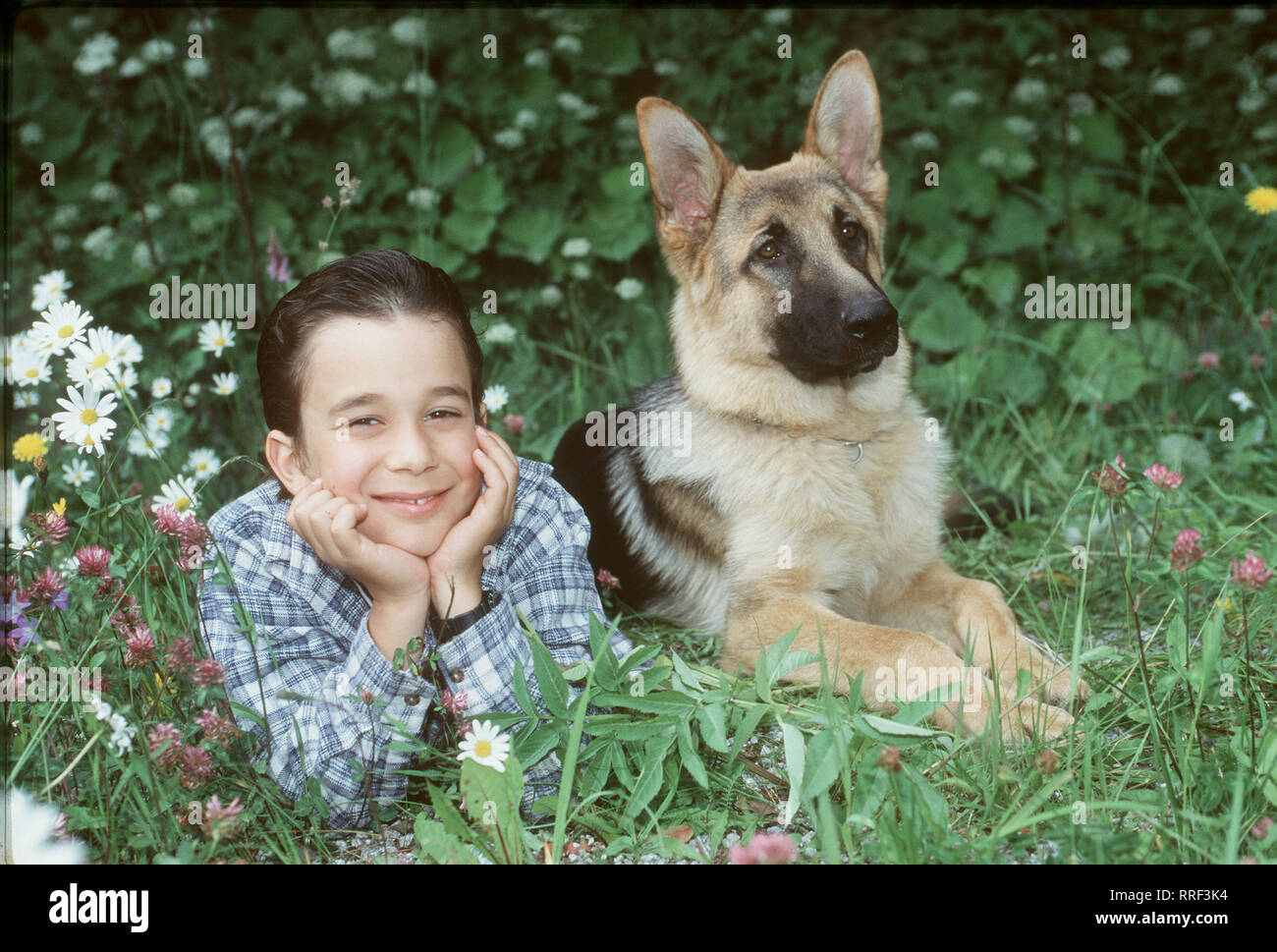 Baby rex der kleine kommissar -Fotos und -Bildmaterial in hoher ...