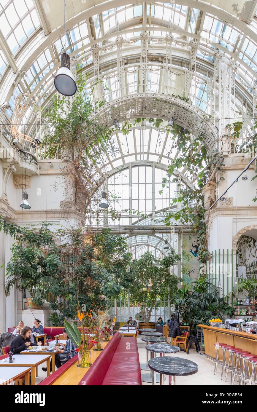 Palmenhaus wien -Fotos und -Bildmaterial in hoher Auflösung – Alamy