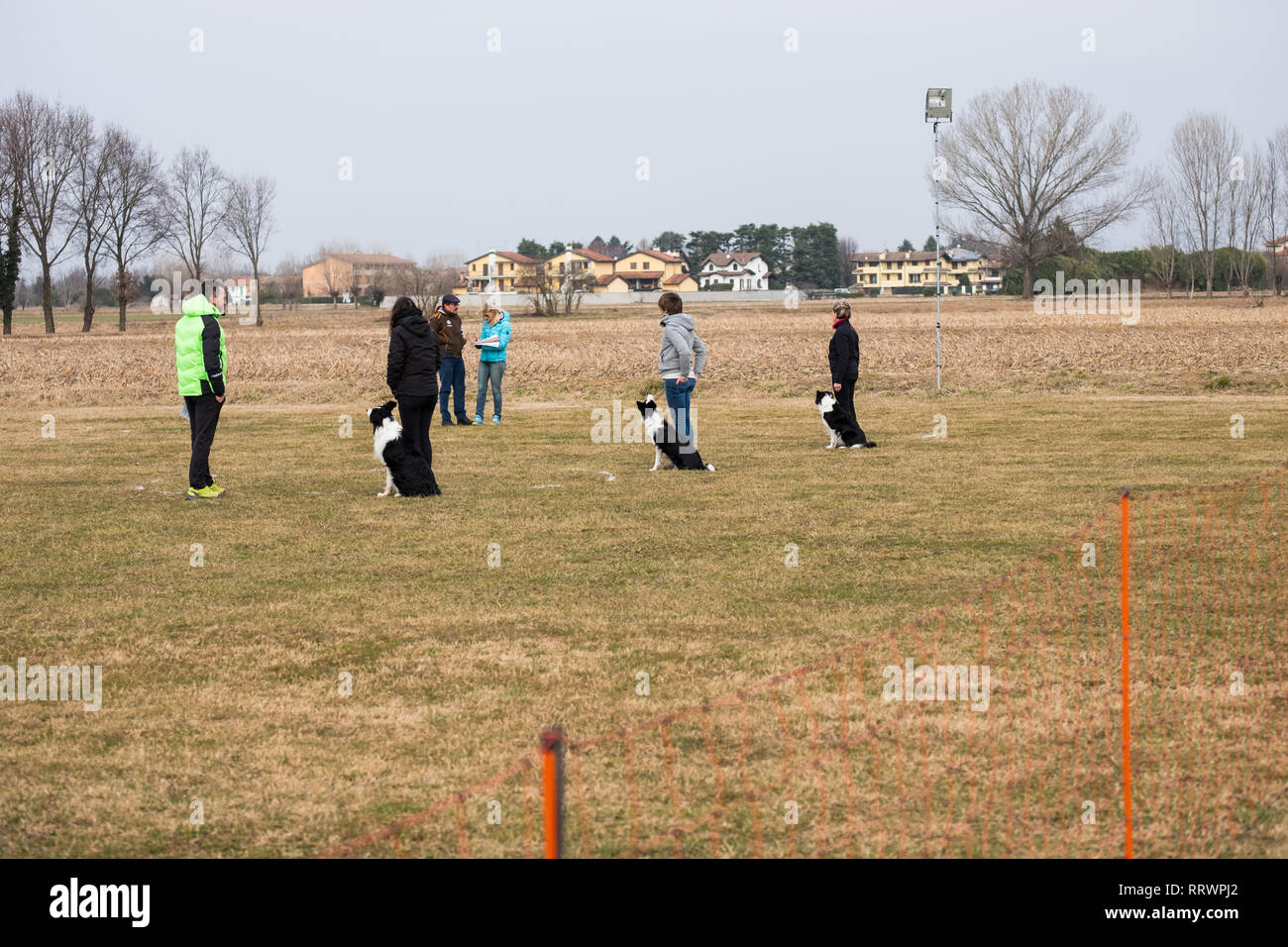 Beweglichkeit trainiert border collie -Fotos und -Bildmaterial in hoher ...