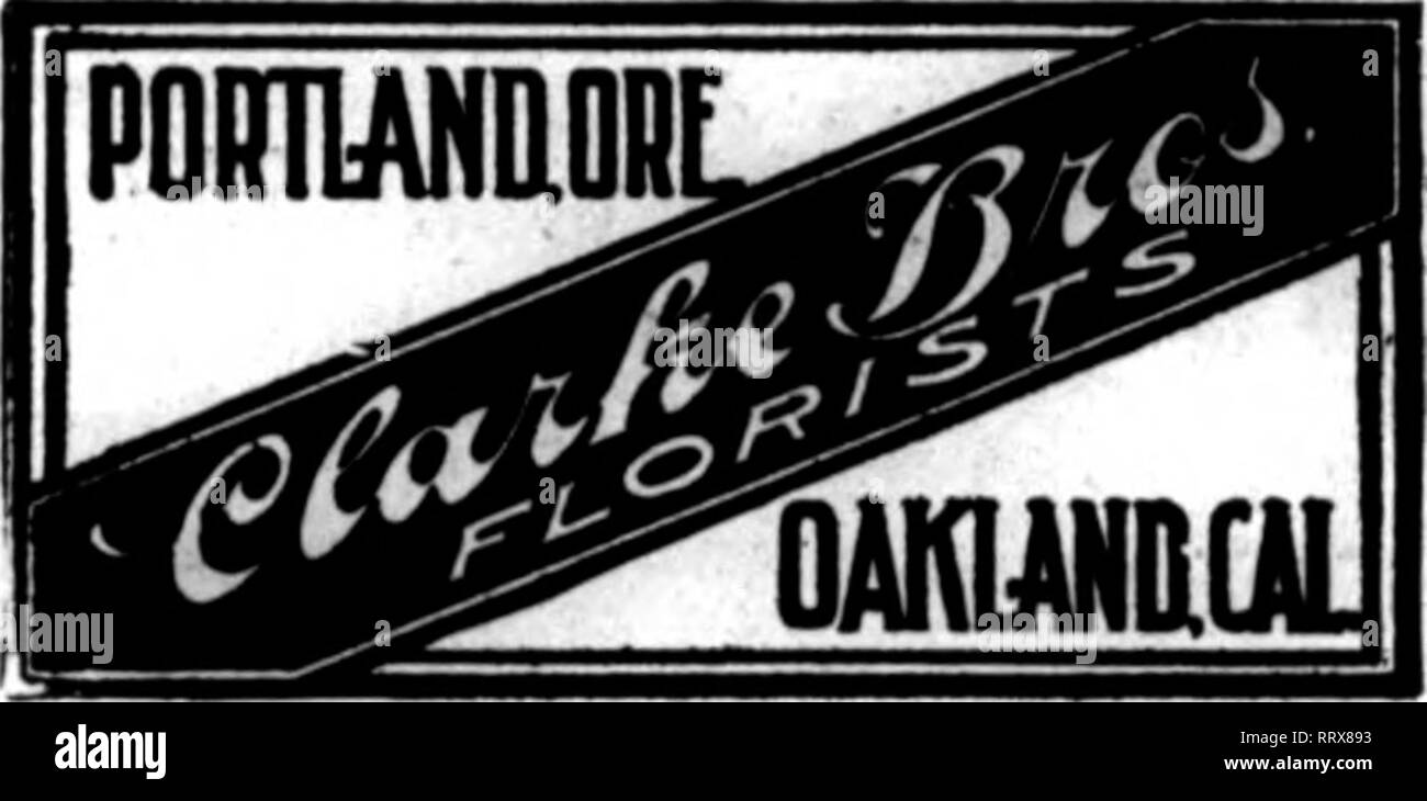 Sar tor -Fotos und -Bildmaterial in hoher Auflösung – Alamy