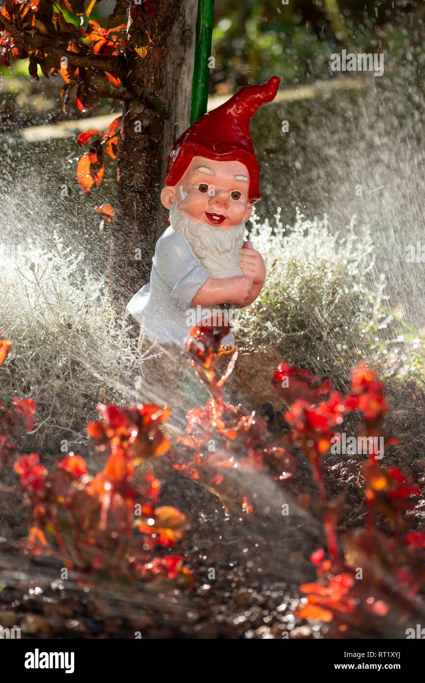 Nains de jardin -Fotos und -Bildmaterial in hoher Auflösung – Alamy
