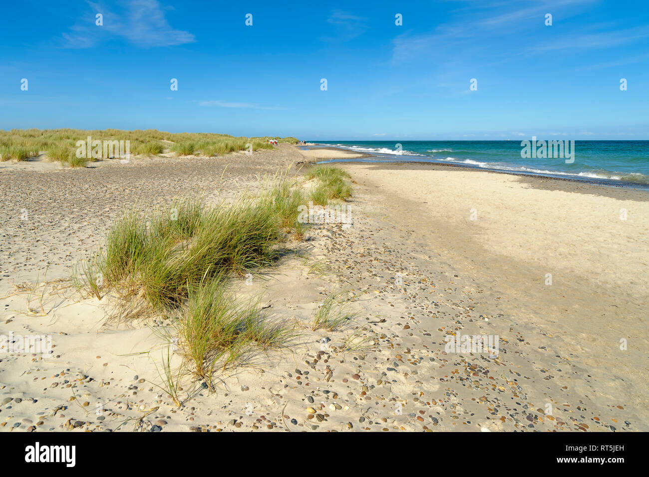 Dänemark, Nordjütland, Skagen, Grenen, Dünen, Strand und Meer ... Dänemark, Nordjütland, Skagen, Grenen, Dünen, Strand und Meer ...