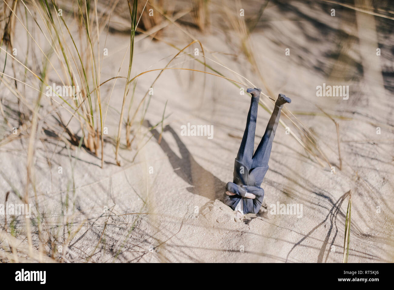 Kopf in sand stecken -Fotos und -Bildmaterial in hoher Auflösung – Alamy