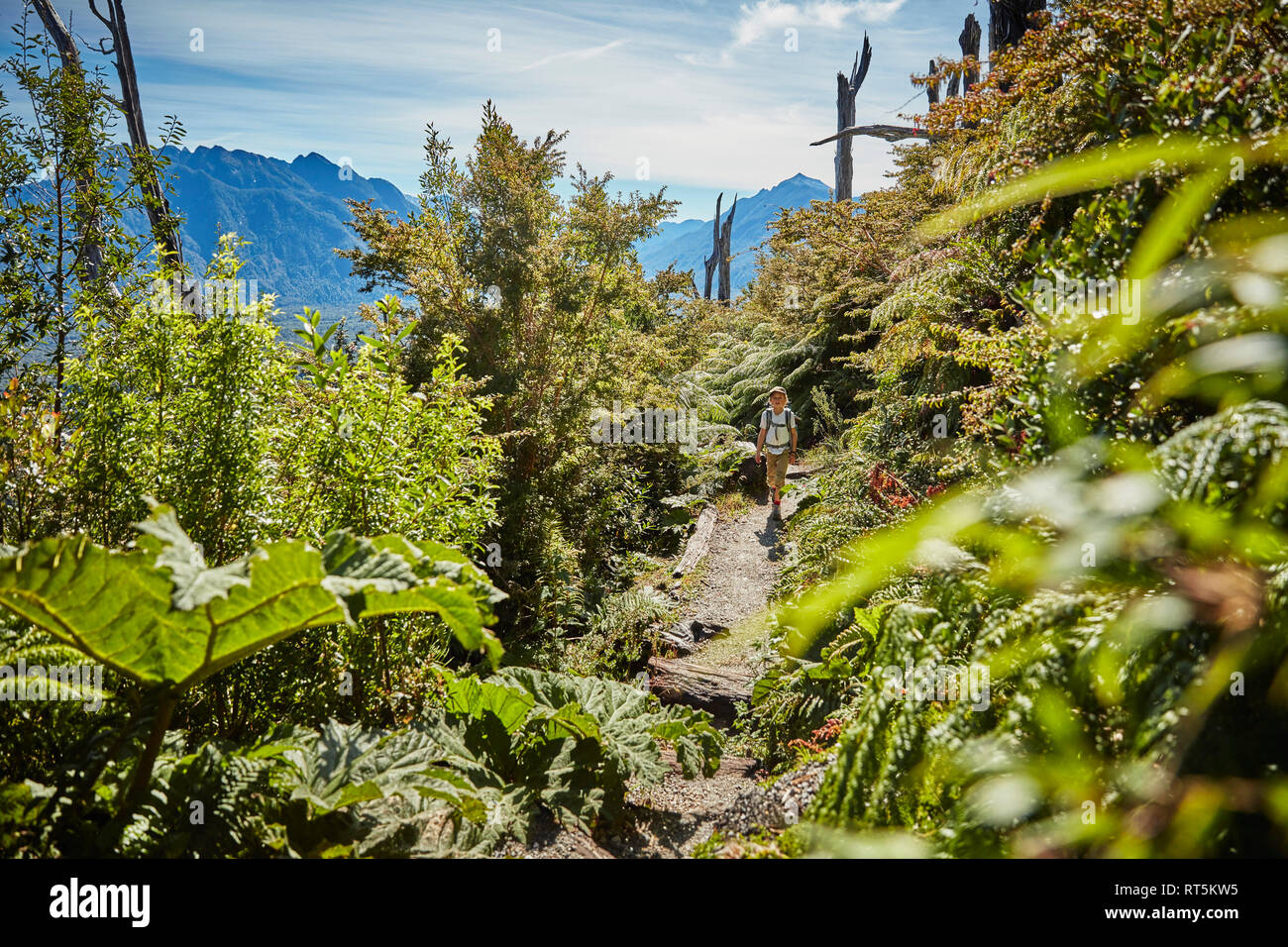 Boy wandern tour chaiten vulkan -Fotos und -Bildmaterial in hoher ...
