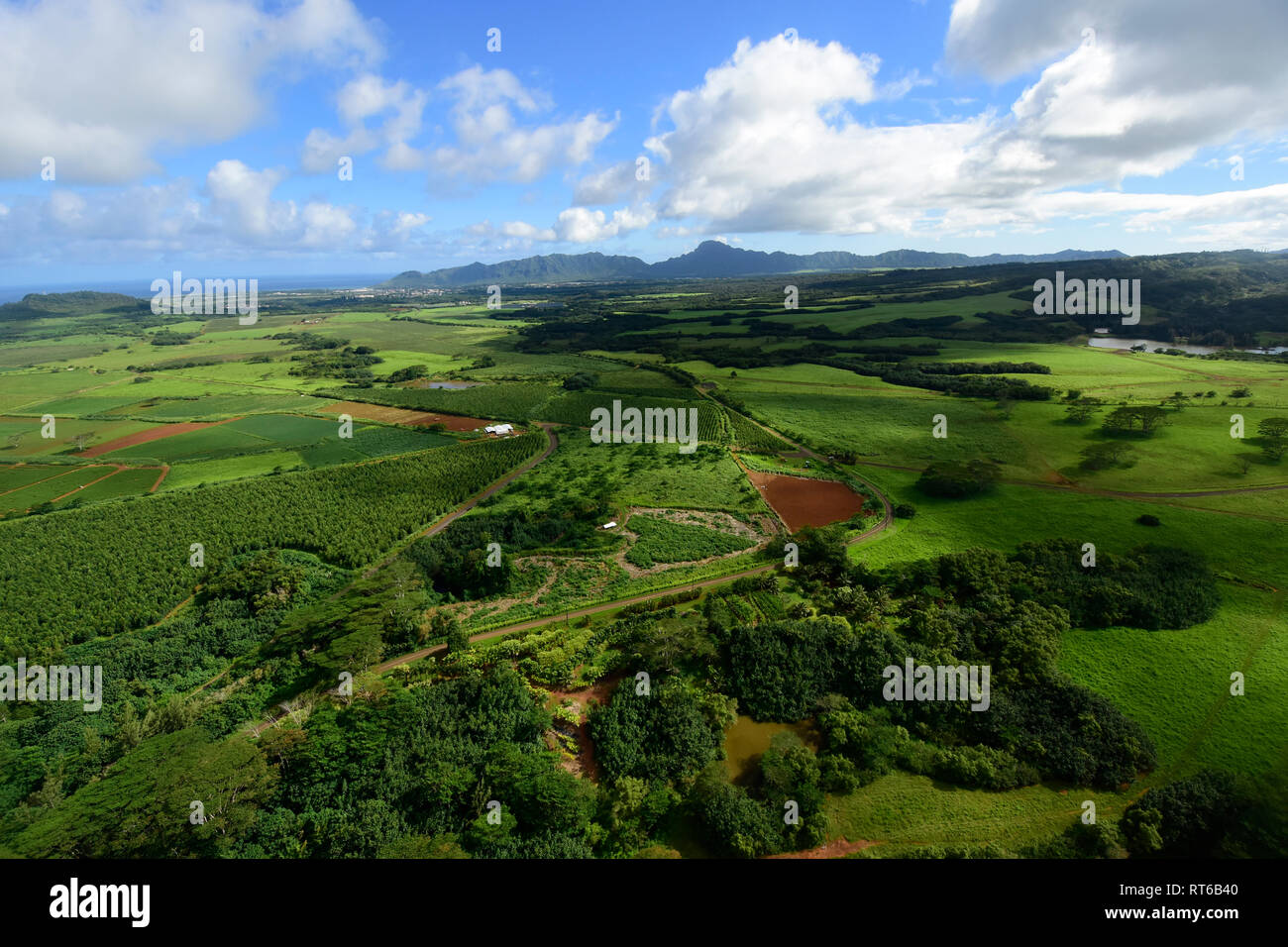 Wailua River State Park Stockfotos und -bilder Kaufen - Alamy