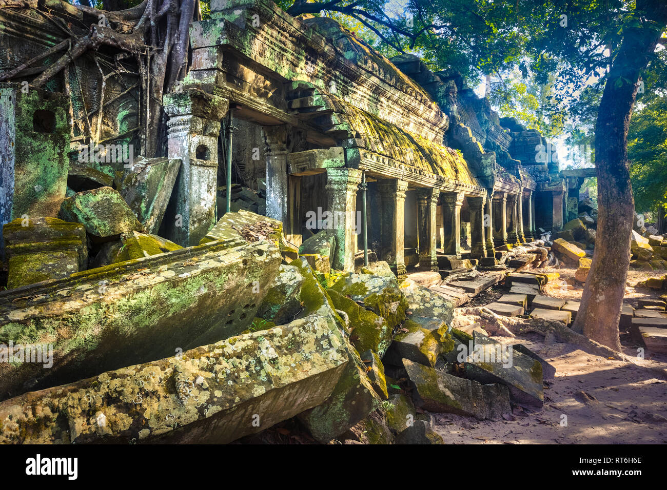 Ta Prohm Bei Angkor Stockfotos und -bilder Kaufen - Alamy