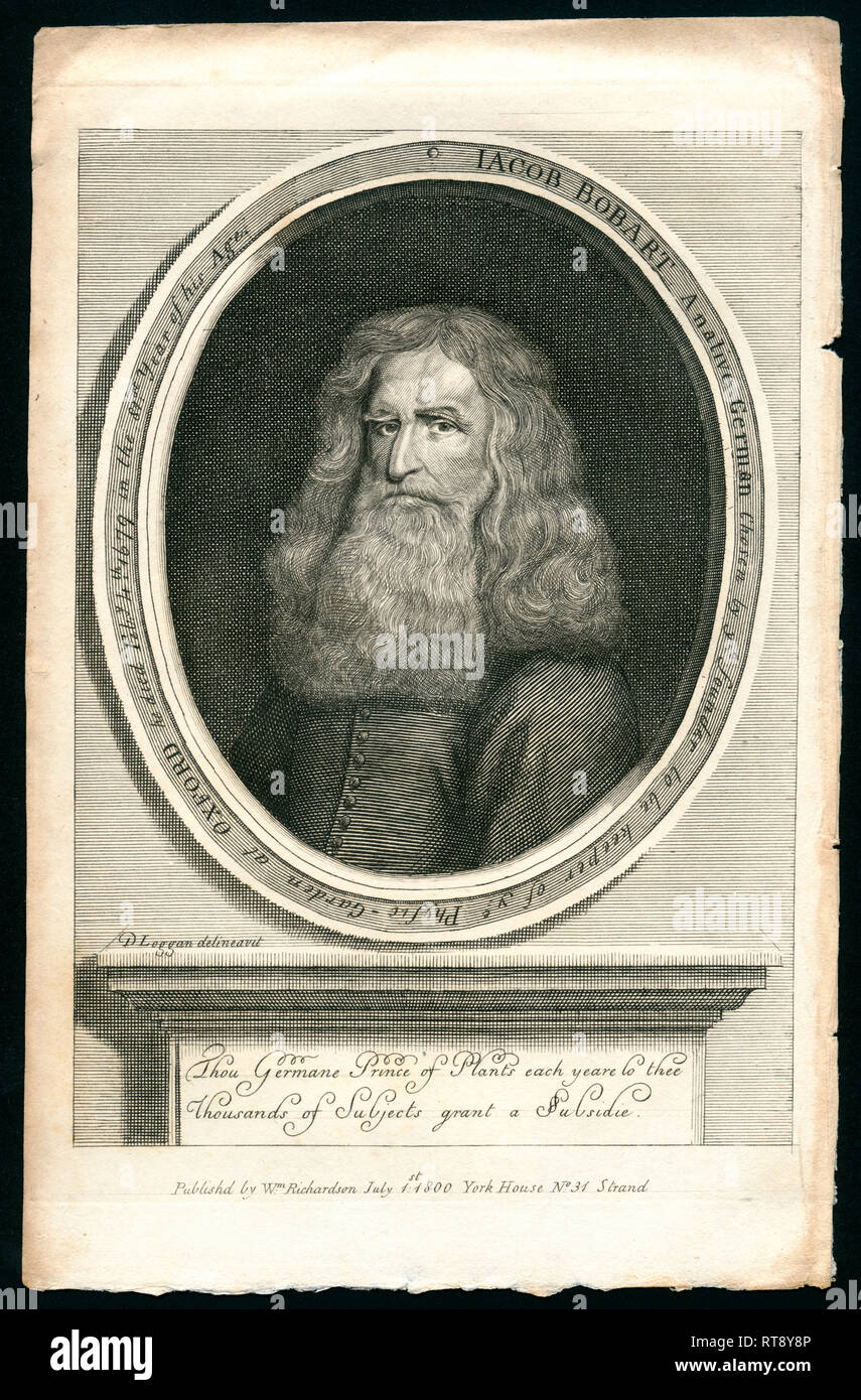 Jacob bobart -Fotos und -Bildmaterial in hoher Auflösung – Alamy