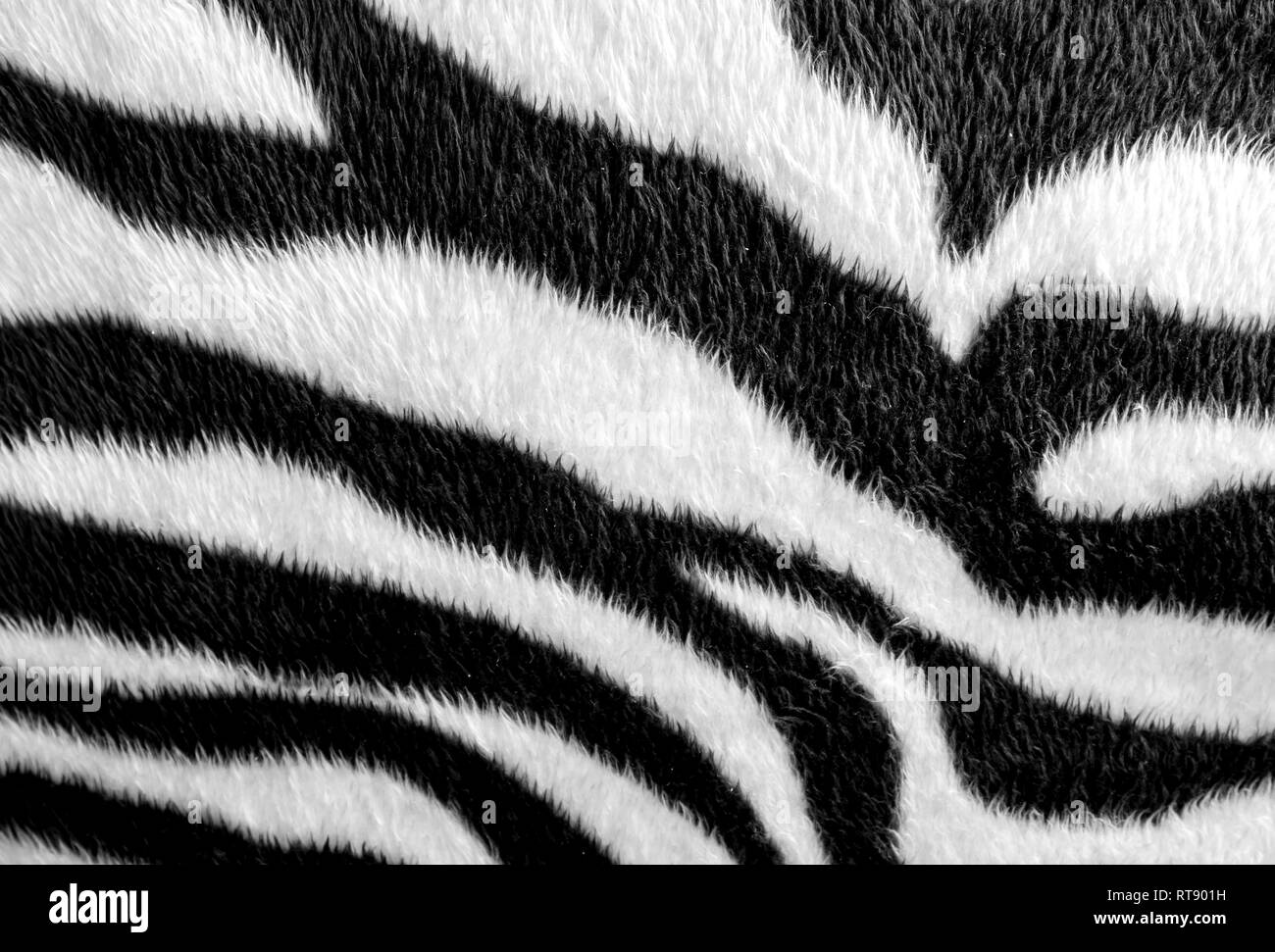 Zebra skin -Fotos und -Bildmaterial in hoher Auflösung – Alamy