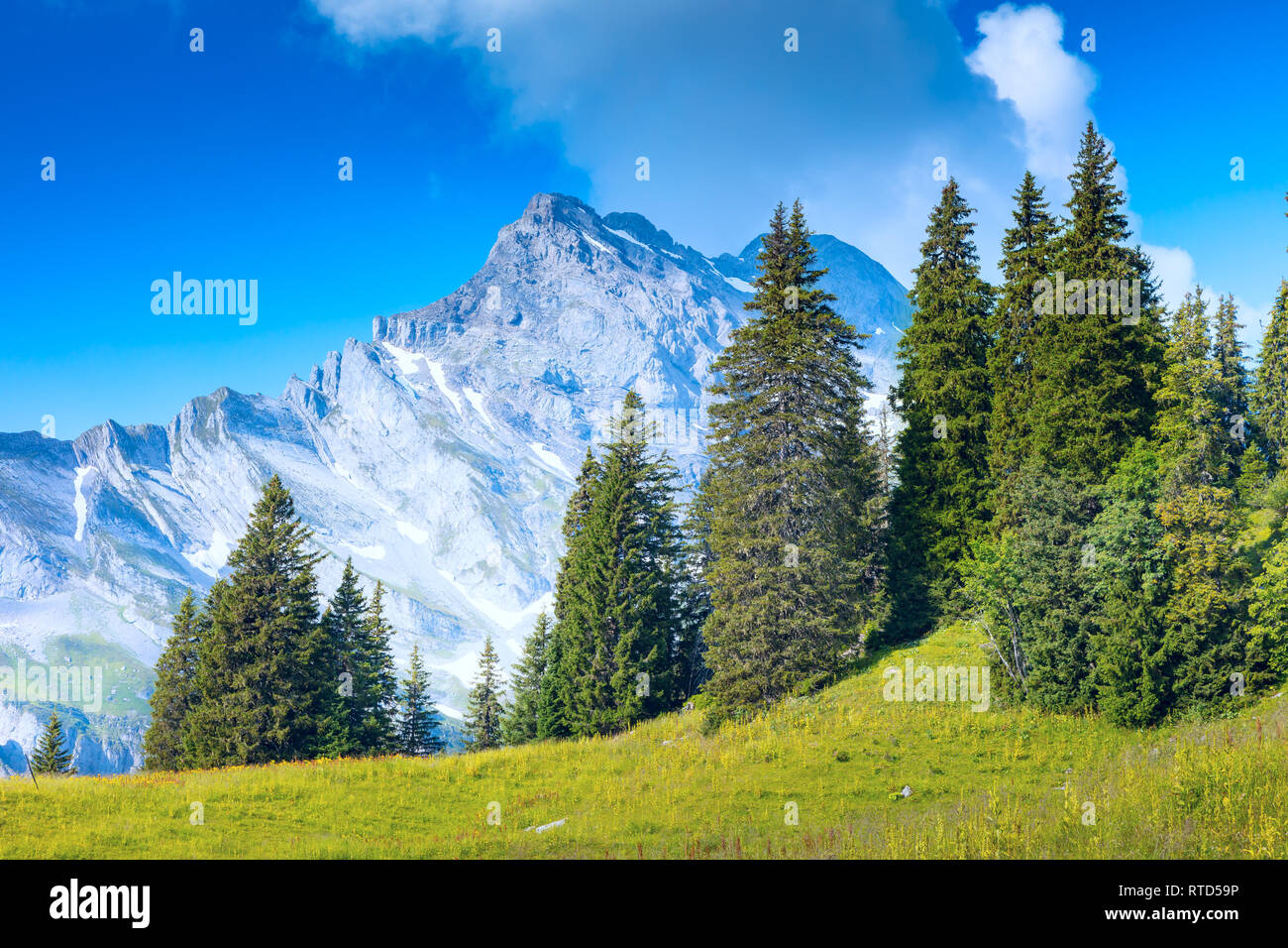 Rasen und almwiese -Fotos und -Bildmaterial in hoher Auflösung – Alamy