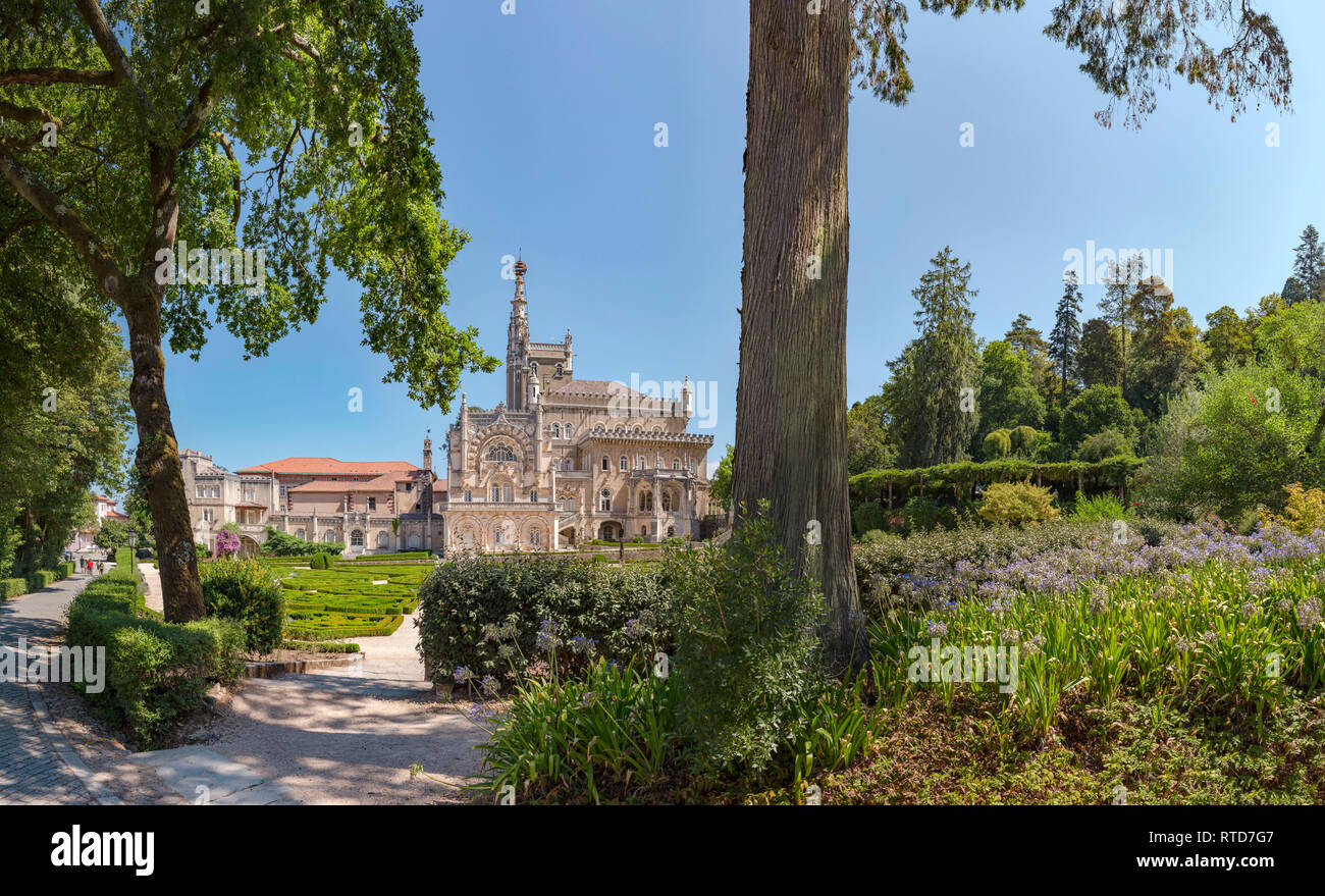Bucaco forest portugal -Fotos und -Bildmaterial in hoher Auflösung – Alamy