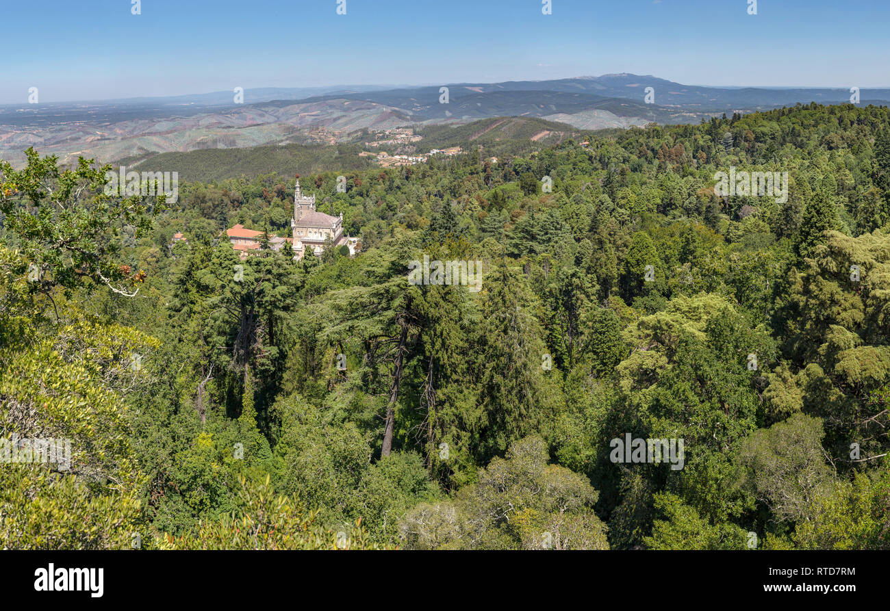 Bucaco forest portugal -Fotos und -Bildmaterial in hoher Auflösung – Alamy