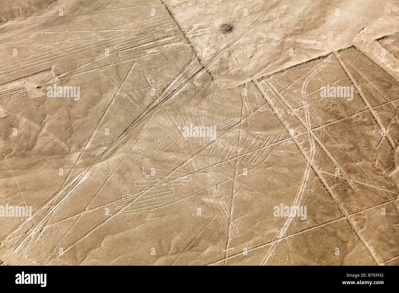 Luftaufnahme der Nazca Linien, der Condor, Peru Stockfotografie - Alamy