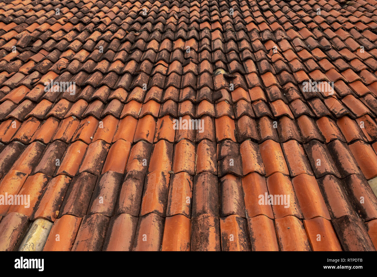 Tile texture roof -Fotos und -Bildmaterial in hoher Auflösung – Alamy