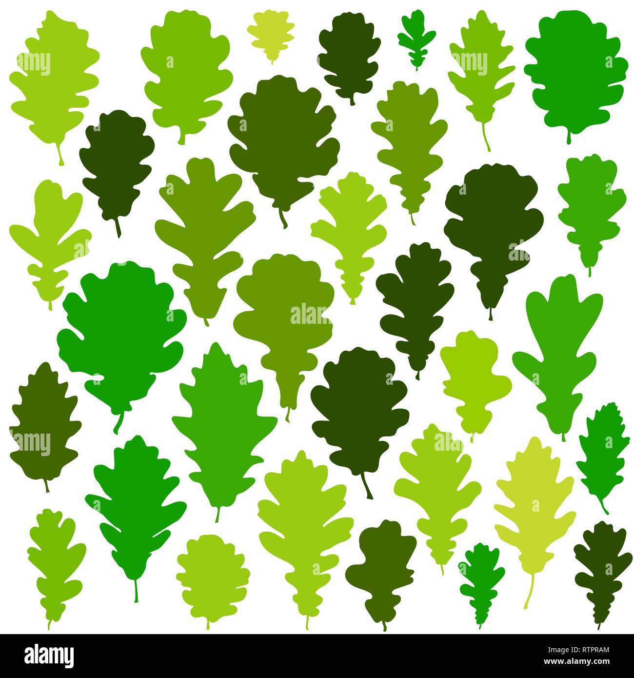 Grüne Eichenlaub auf weißem Hintergrund. Vector Illustration Stock ...