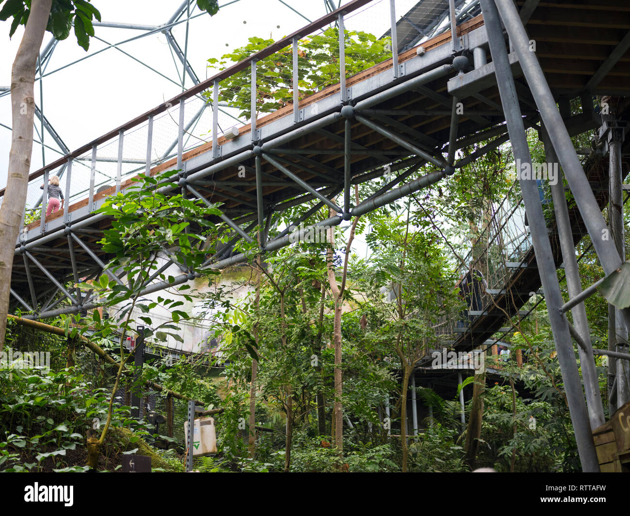 Eden projekt biom -Fotos und -Bildmaterial in hoher Auflösung – Alamy