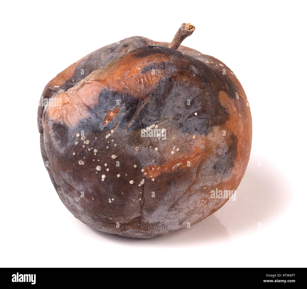 Roter bioapfel und verdorbener apfel -Fotos und -Bildmaterial in hoher ...