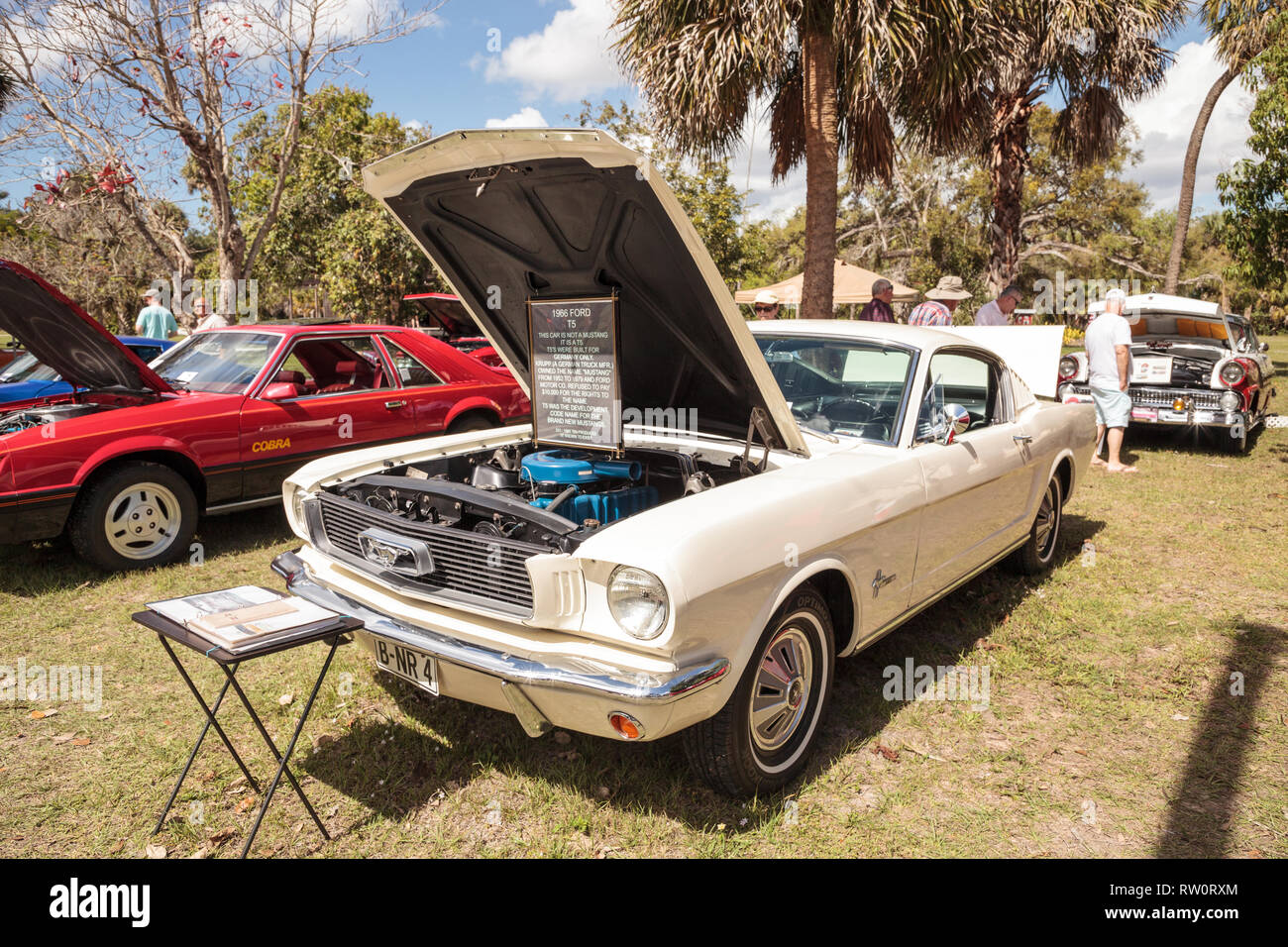 Ford t5 -Fotos und -Bildmaterial in hoher Auflösung – Alamy