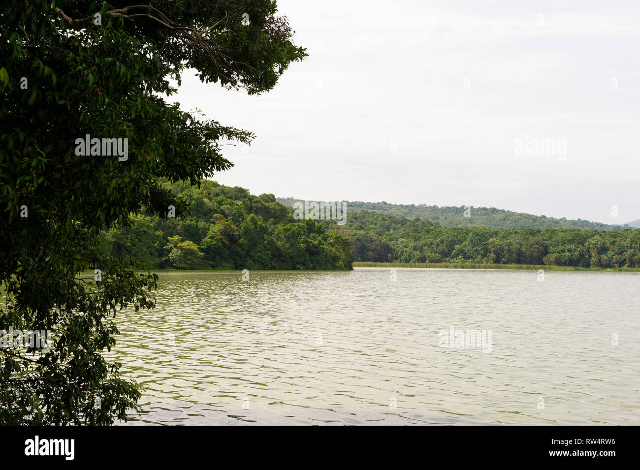 Maramagambo wald Stockfotos und -bilder Kaufen - Alamy