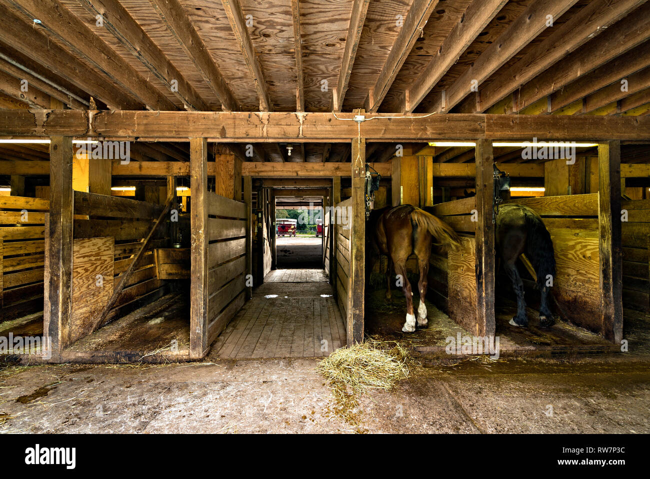 Stall für tiere -Fotos und -Bildmaterial in hoher Auflösung – Alamy