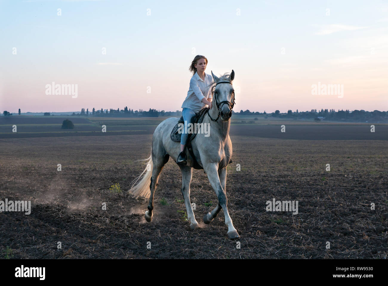 Mädchen mit pferd -Fotos und -Bildmaterial in hoher Auflösung – Alamy