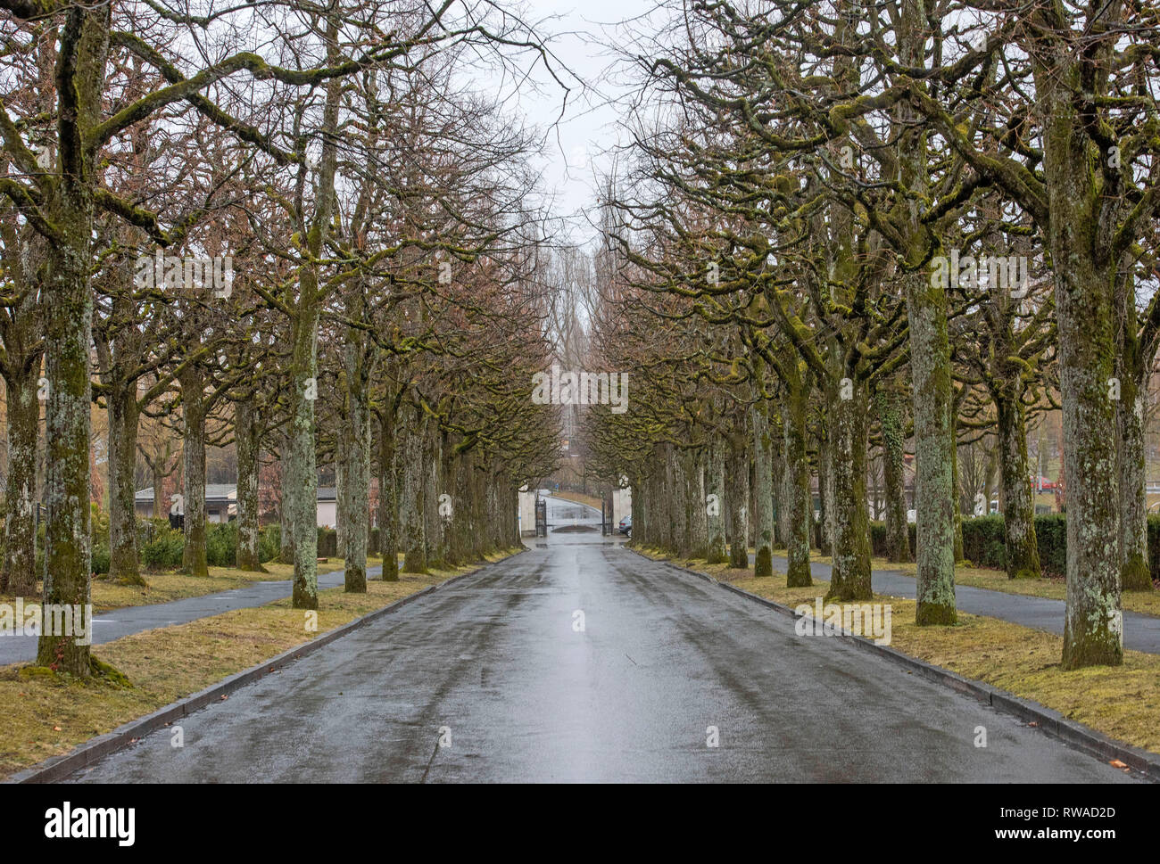 Coco chanel grab schweiz -Fotos und -Bildmaterial in hoher Auflösung – Alamy