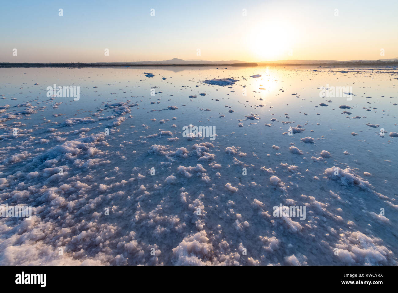 Larnaca salzsee -Fotos und -Bildmaterial in hoher Auflösung – Alamy