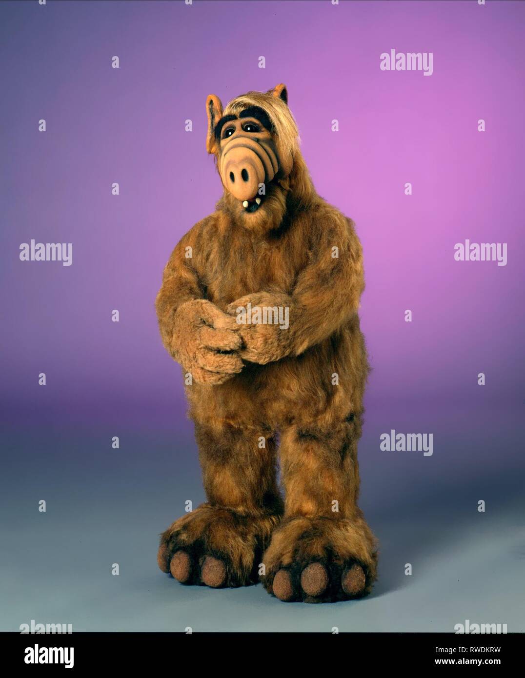 Alf and alien -Fotos und -Bildmaterial in hoher Auflösung – Alamy