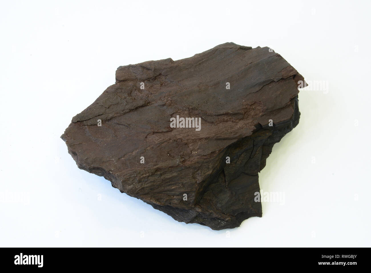 Braunkohle oder Braunkohle. Stück mit schwach erkennbaren Holzstruktur ...
