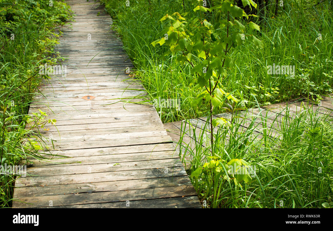 Zwei verschiedene wege -Fotos und -Bildmaterial in hoher Auflösung – Alamy