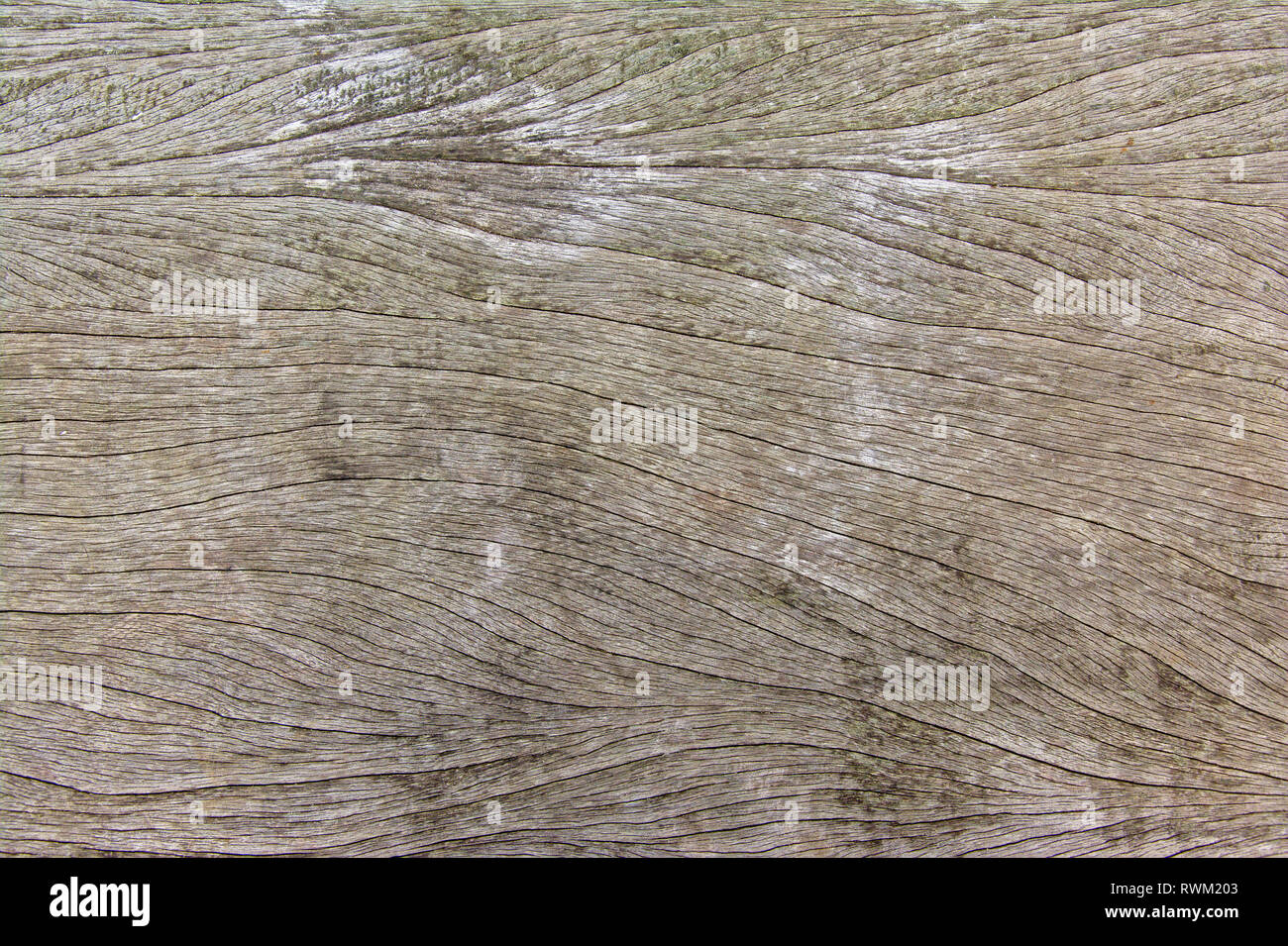 Gebogene Holztafel Stockfotos und -bilder Kaufen - Alamy
