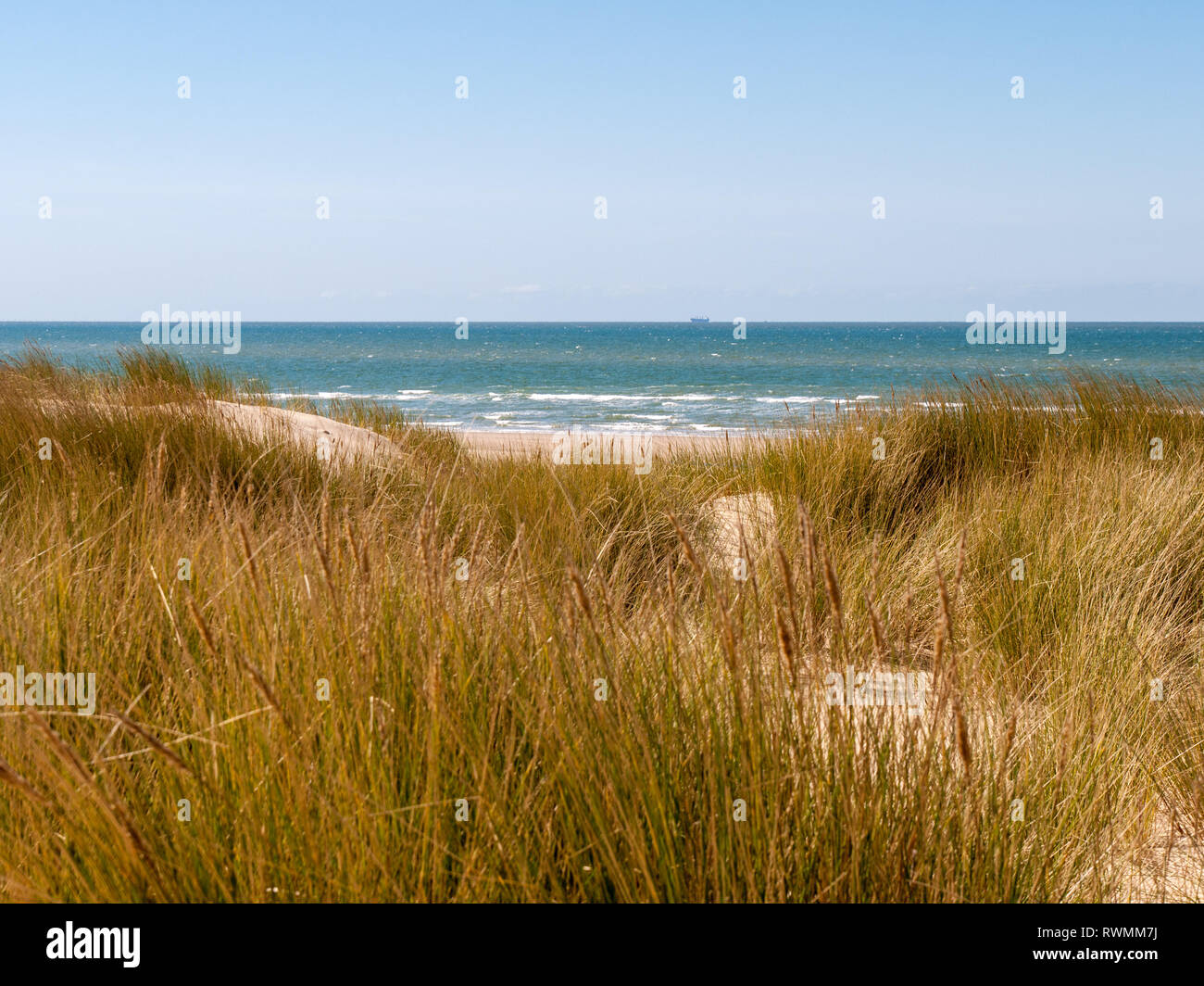 Netherlands zeeland walcheren landscape near -Fotos und -Bildmaterial ...