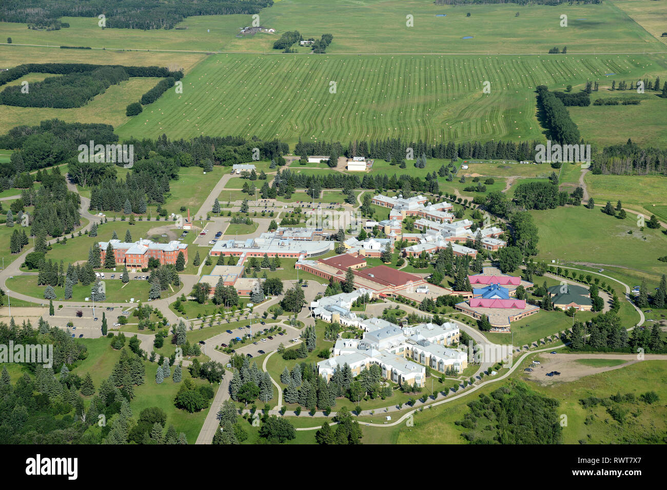 Ron pflege -Fotos und -Bildmaterial in hoher Auflösung – Alamy