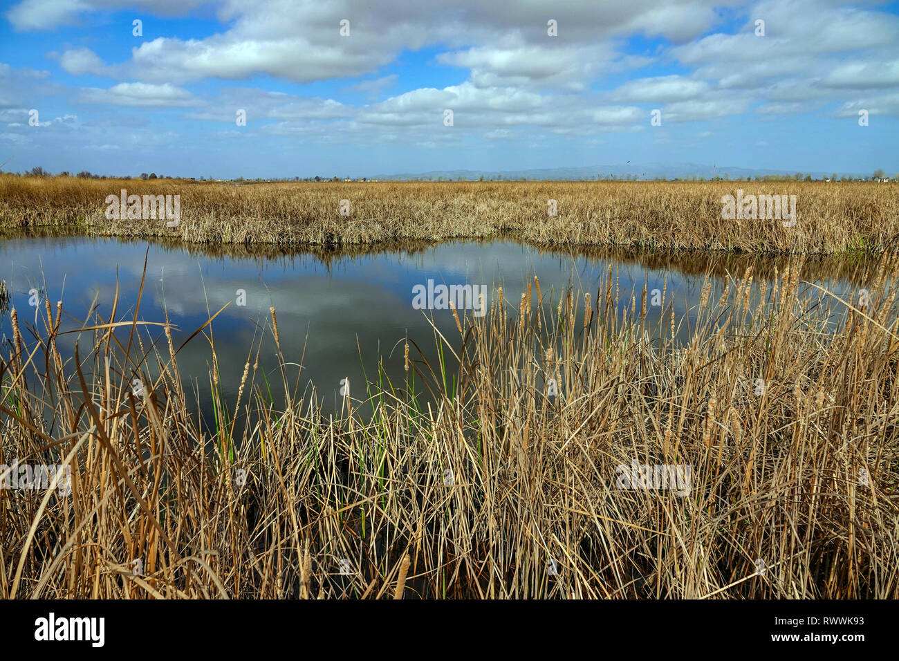 Naturpark Ebro Delta Stockfotos und -bilder Kaufen - Alamy