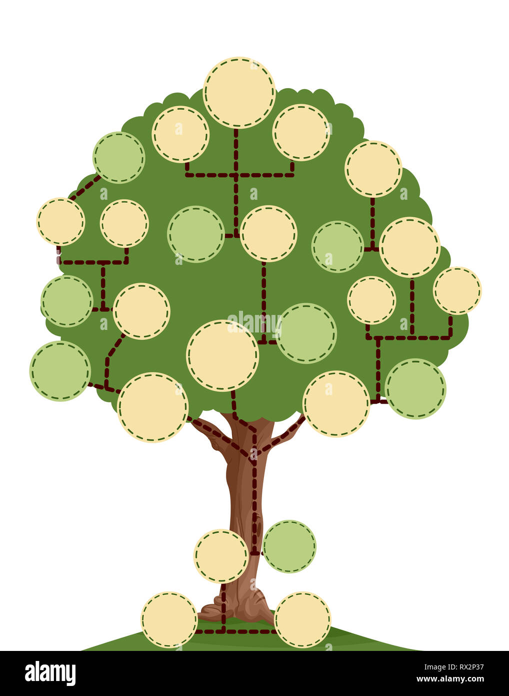 Stammbaum Clipart Bilder Isolierte Stammbaum Auf Weißem Hintergrund.
