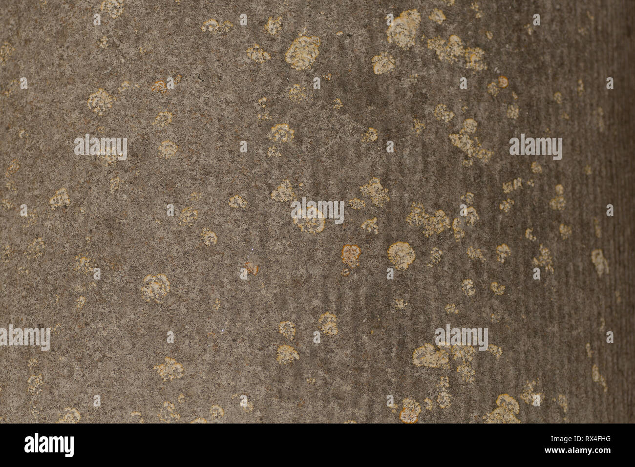 Punkte Wand Stockfotos und -bilder Kaufen - Alamy