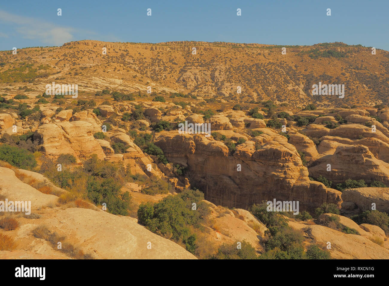 Dana nature reserve -Fotos und -Bildmaterial in hoher Auflösung – Alamy
