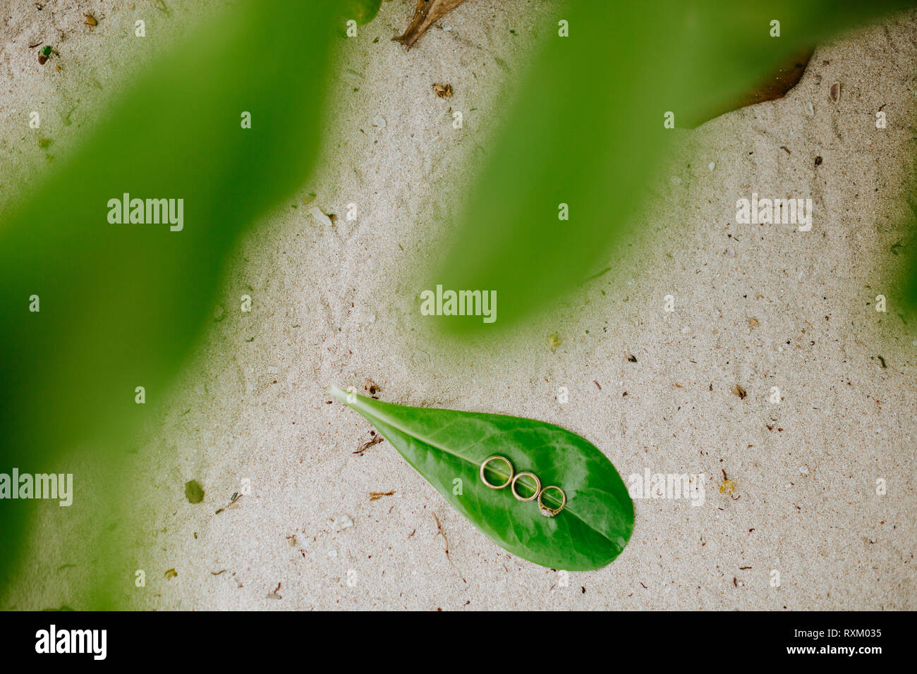 Hochzeiten am strand -Fotos und -Bildmaterial in hoher Auflösung – Alamy