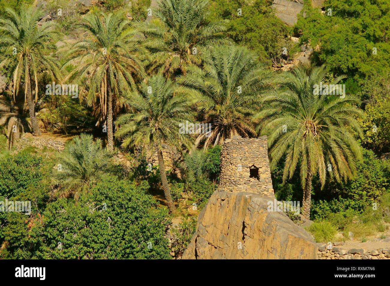 Oman misfah -Fotos und -Bildmaterial in hoher Auflösung – Alamy
