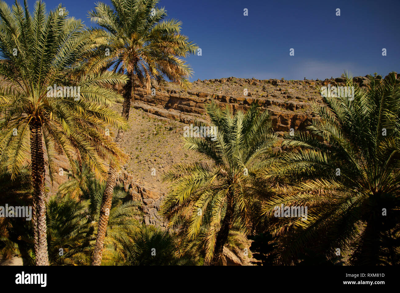 Oman Misfah Stockfotos & Oman Misfah Bilder - Alamy