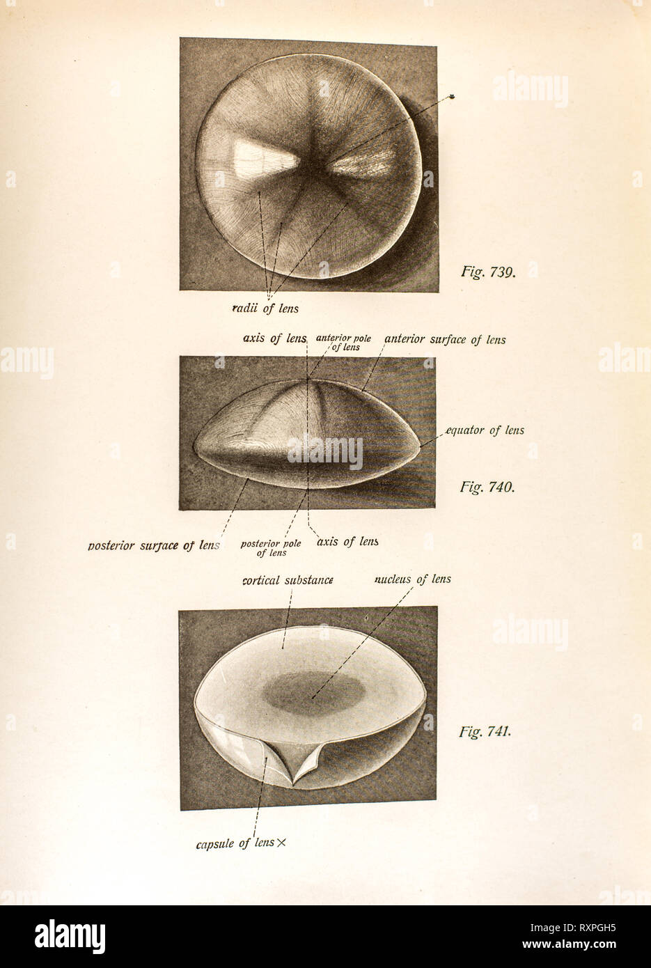 Normale anatomie des menschlichen auges und der augenhöhle -Fotos und ...
