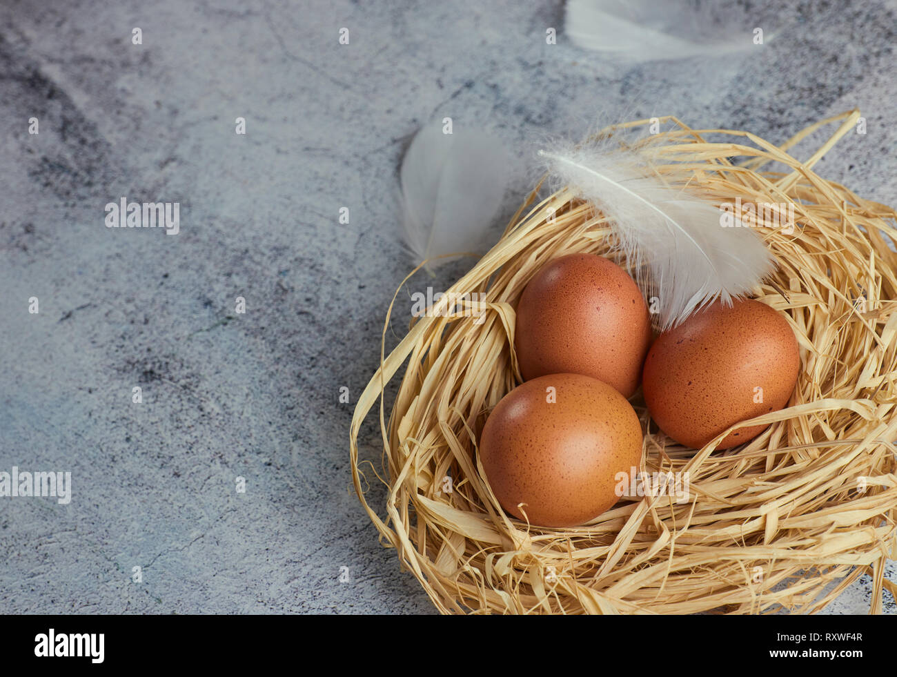 Braun huhn eier mit weißen Federn im Heu Nest auf Beton. Kopieren Raum ...