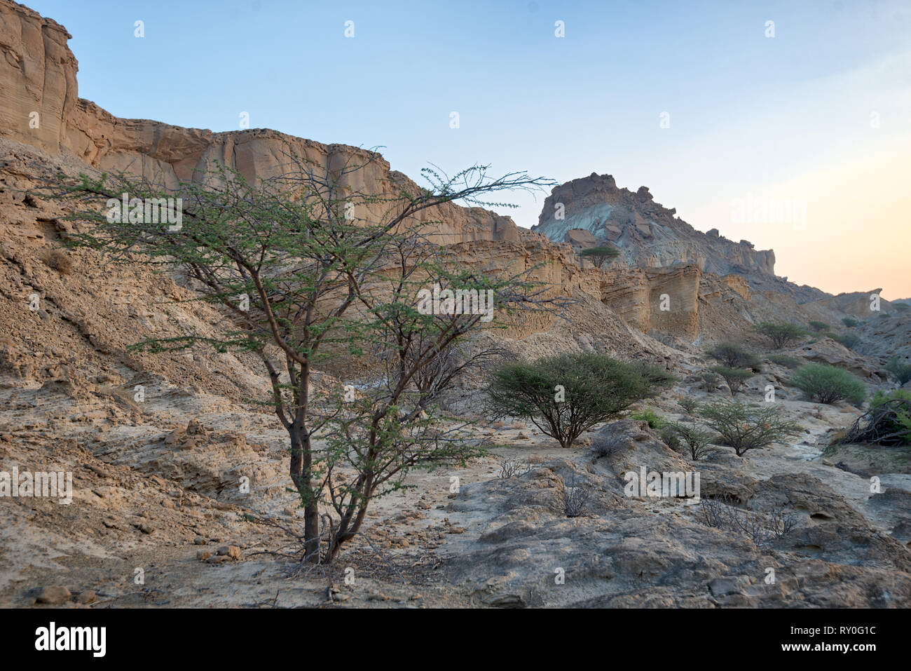 Südlicher iran -Fotos und -Bildmaterial in hoher Auflösung – Alamy