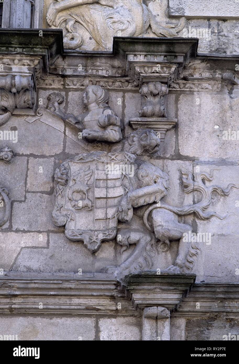 Cuerpo de leon -Fotos und -Bildmaterial in hoher Auflösung – Alamy