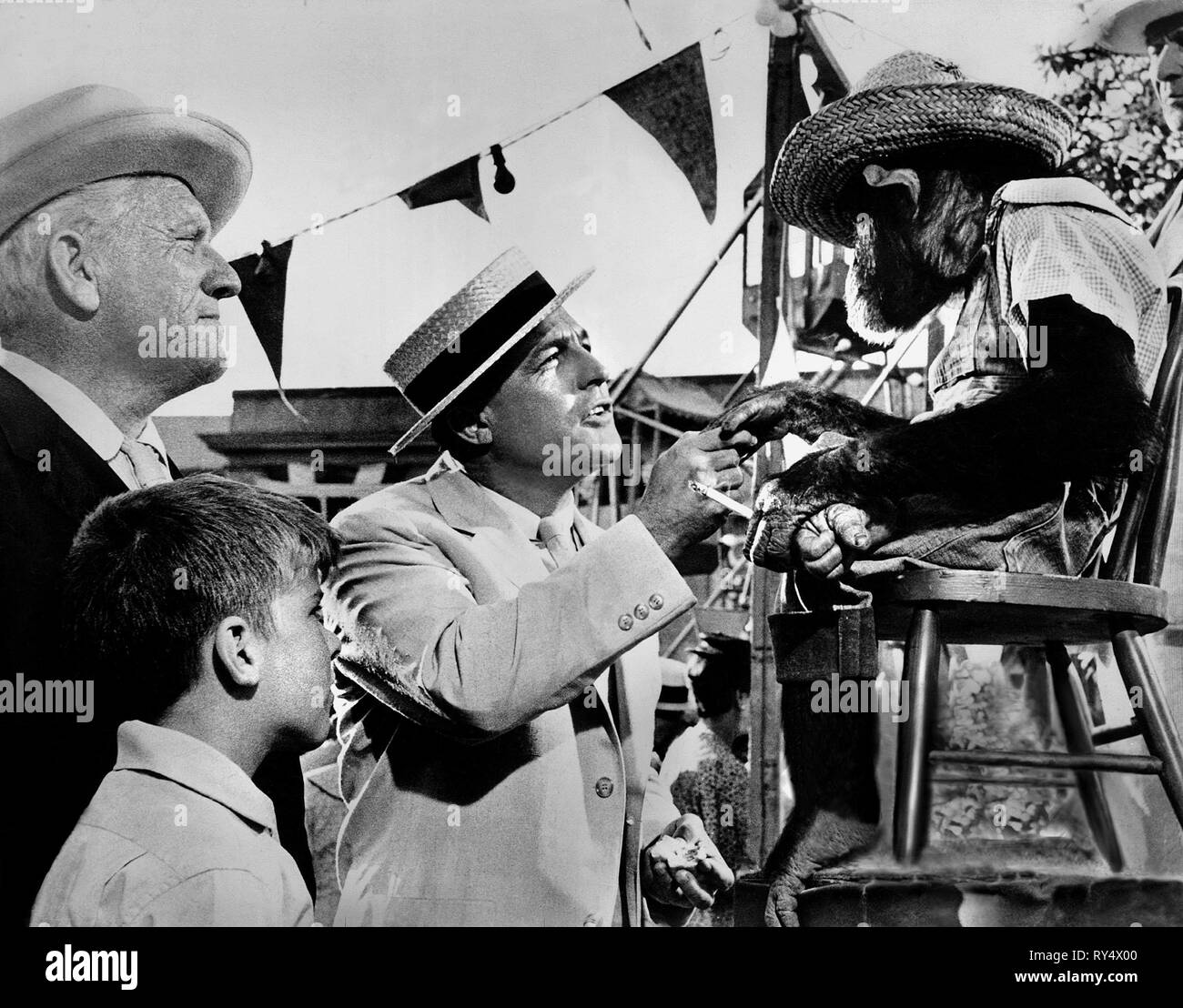 Erben den wind -Fotos und -Bildmaterial in hoher Auflösung – Alamy