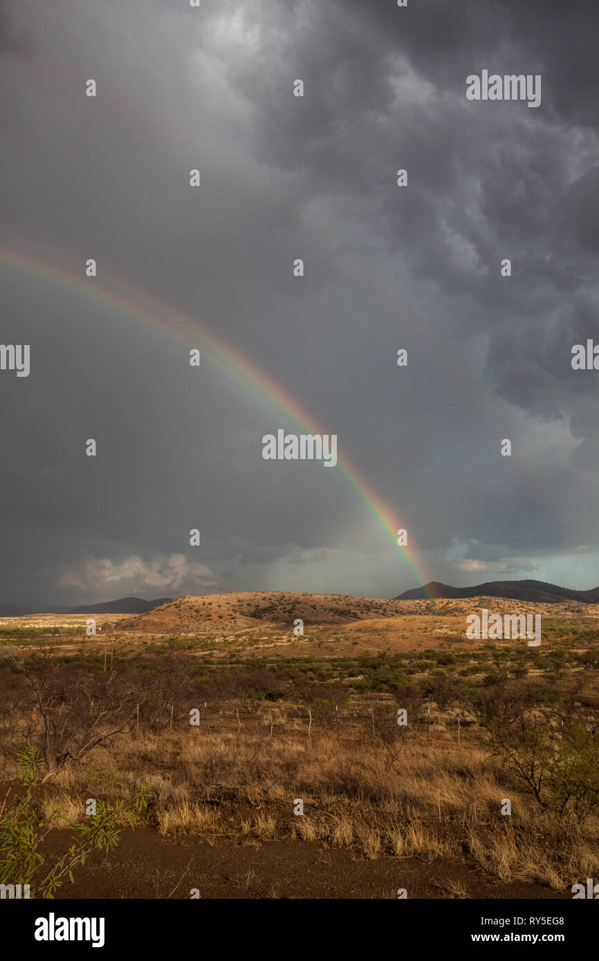 Naco sonora -Fotos und -Bildmaterial in hoher Auflösung – Alamy