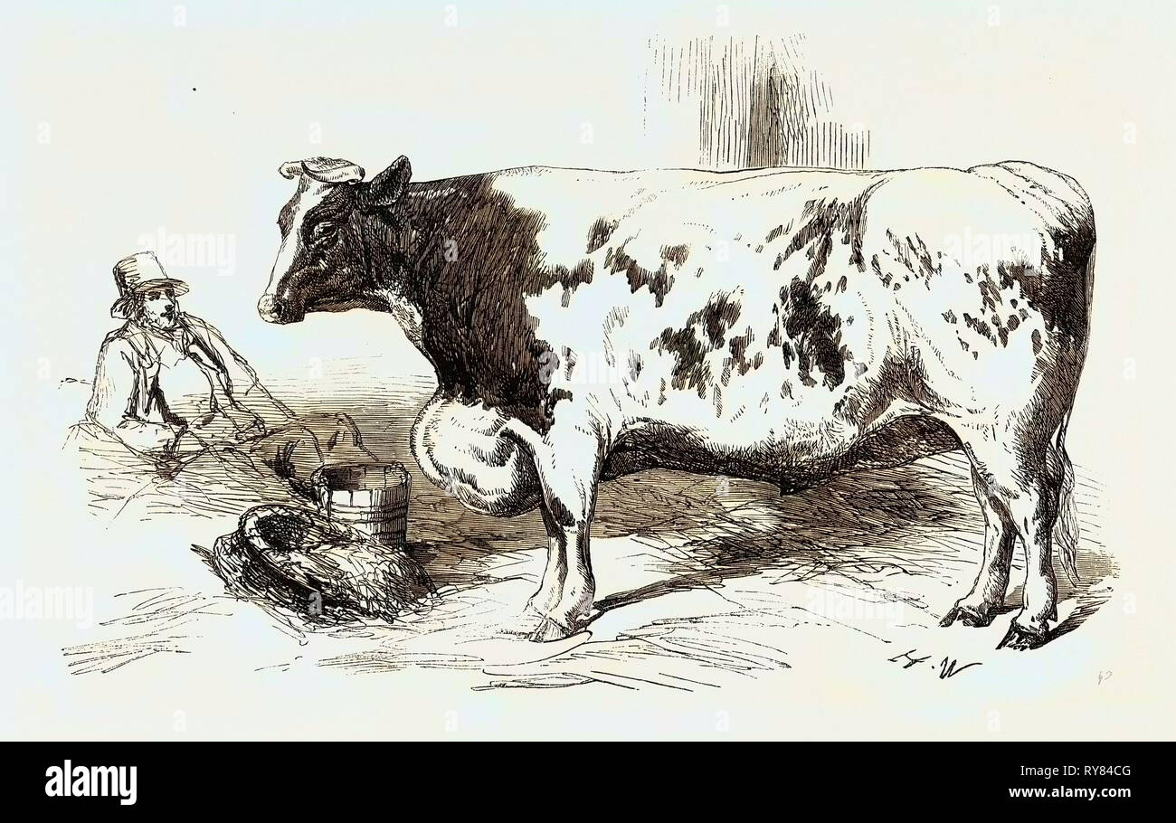 Beste klasse -Fotos und -Bildmaterial in hoher Auflösung – Alamy