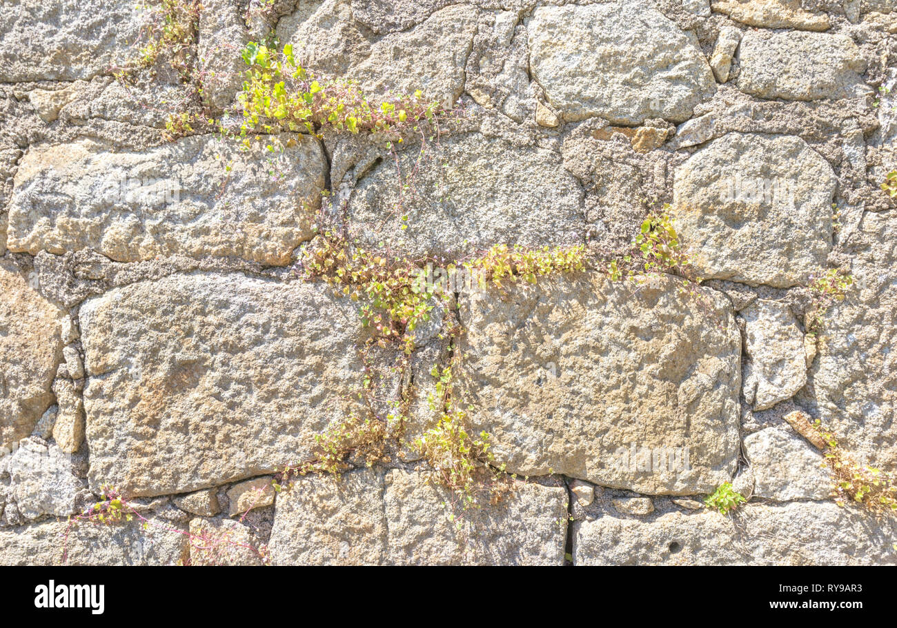Natursteinmauerwerk garten -Fotos und -Bildmaterial in hoher Auflösung ...