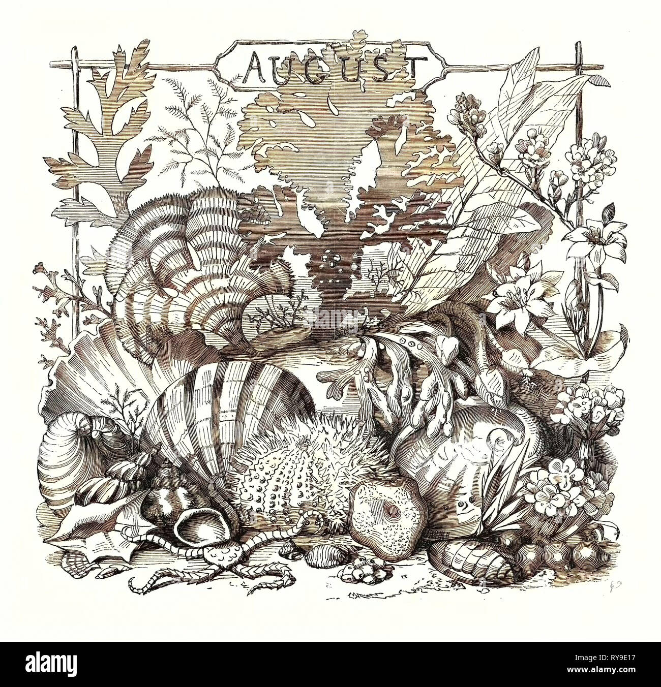 August calendar Ausgeschnittene Stockfotos und -bilder - Alamy