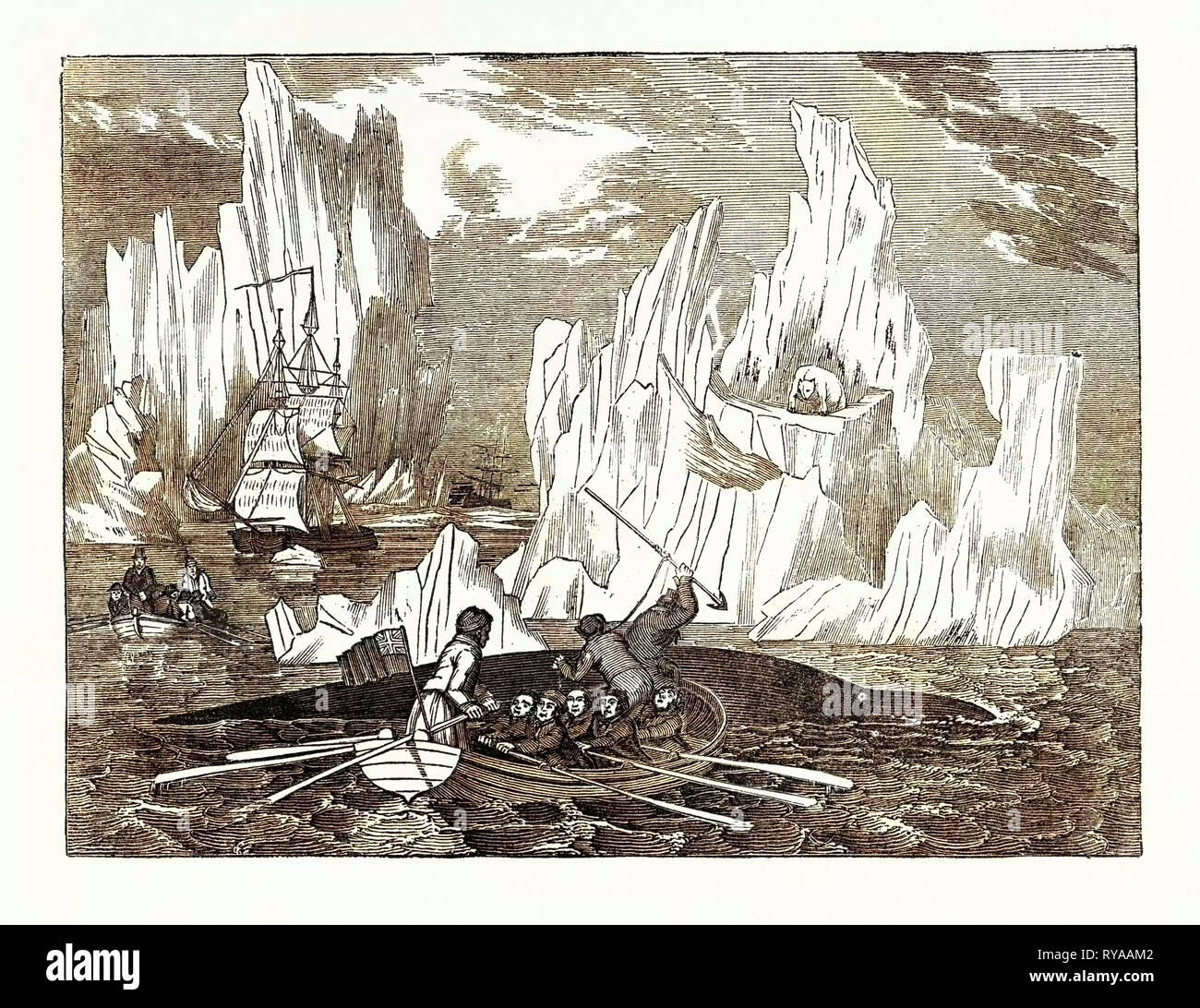 Wal harpune -Fotos und -Bildmaterial in hoher Auflösung – Alamy