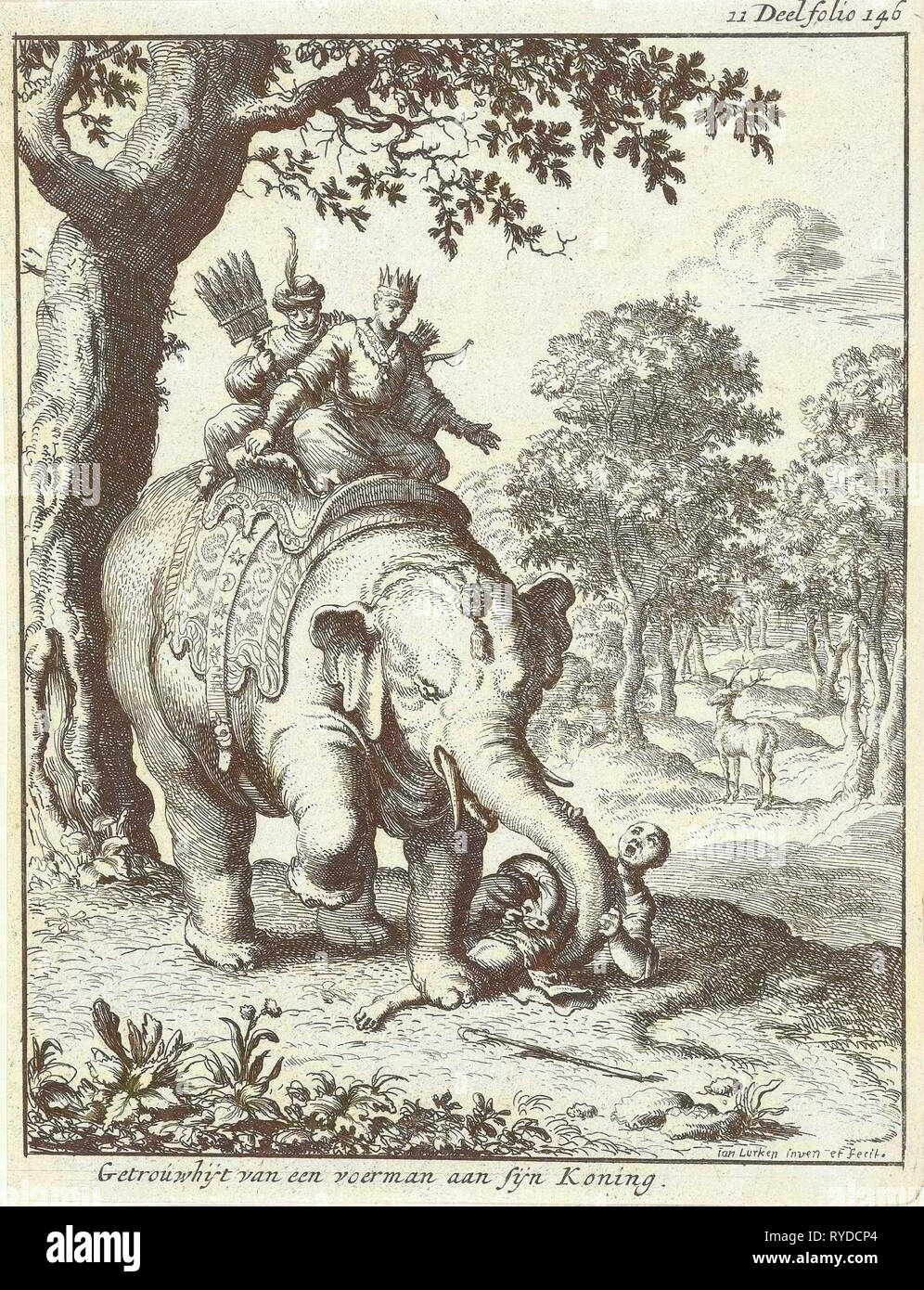 Nachbar Trampelt Wie Elefant